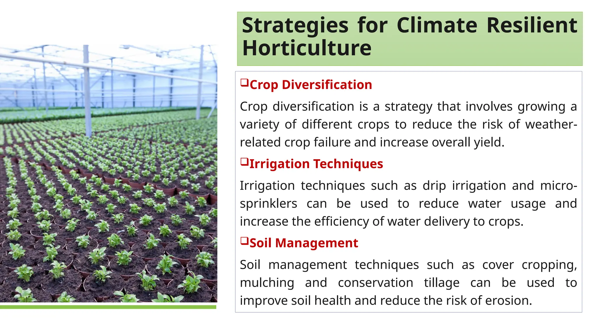 Final Strategies for climate resilient horticulture-.pptx