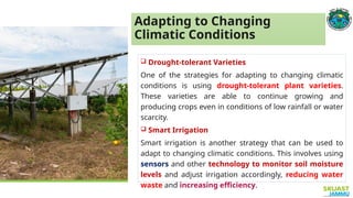 Final Strategies for climate resilient horticulture-.pptx