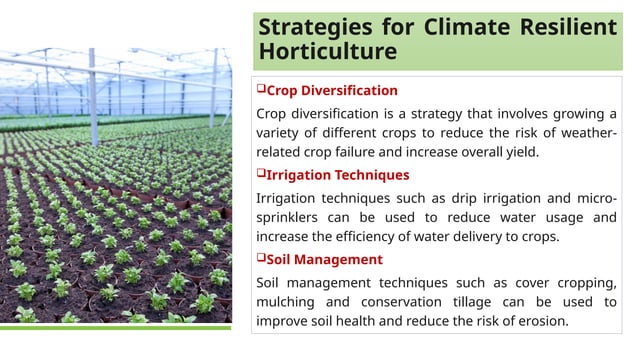 Final Strategies for climate resilient horticulture-.pptx
