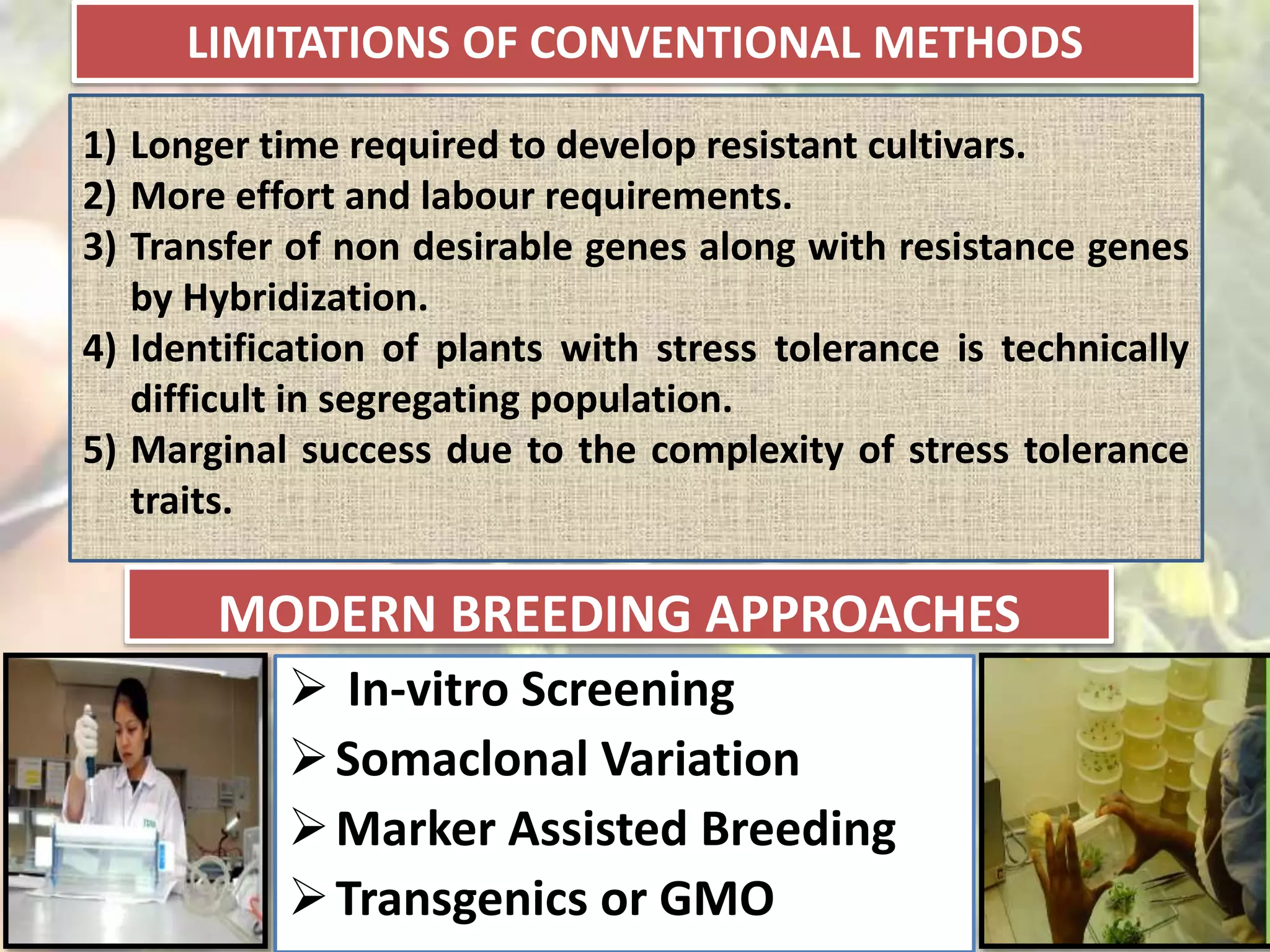 Breeding for abiotic stress resistance in vegetable crops | PPTX