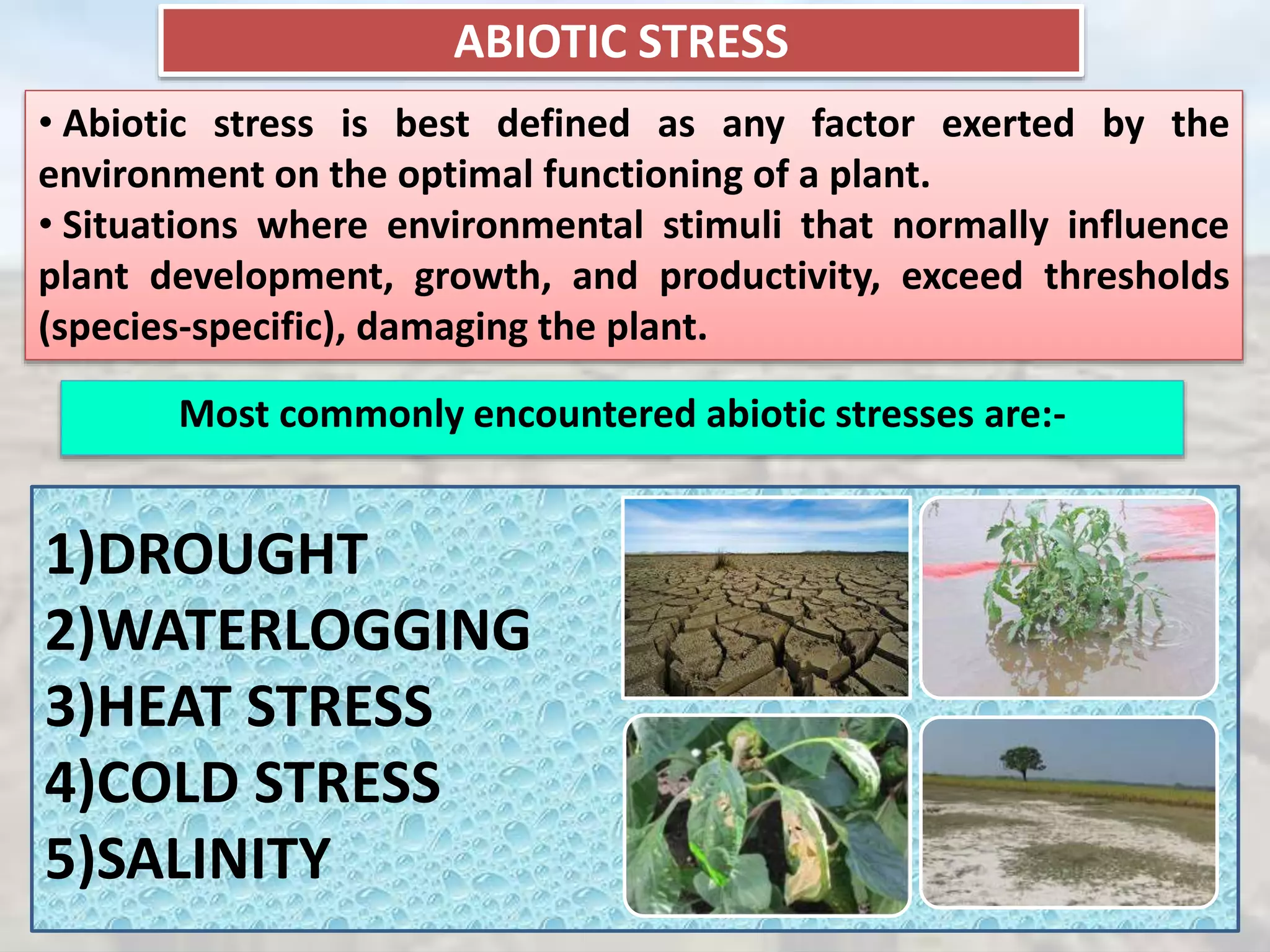 Breeding for abiotic stress resistance in vegetable crops | PPTX