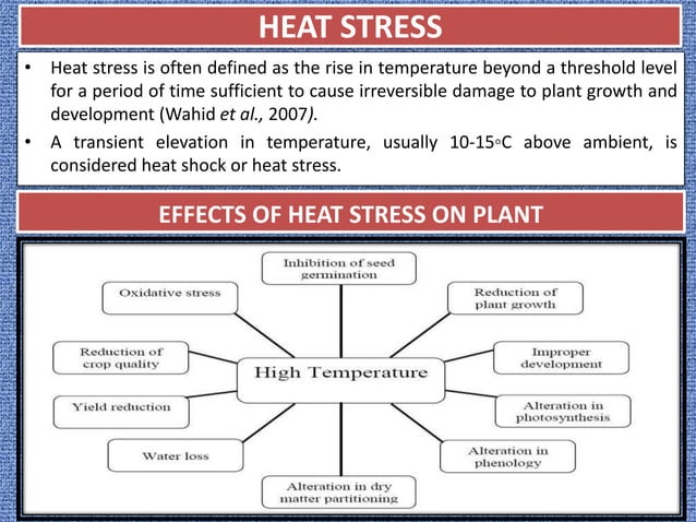 Breeding for abiotic stress resistance in vegetable crops | PPTX