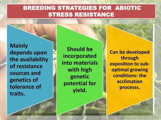 Breeding for abiotic stress resistance in vegetable crops | PPTX