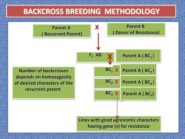 Breeding for abiotic stress resistance in vegetable crops | PPTX