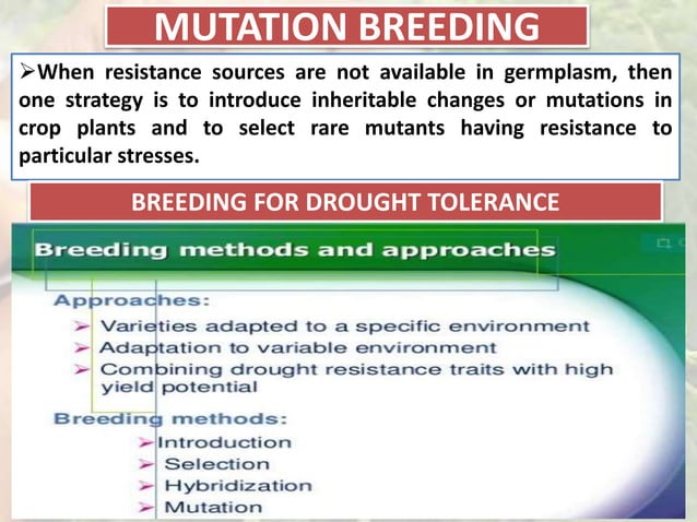 Breeding for abiotic stress resistance in vegetable crops | PPTX