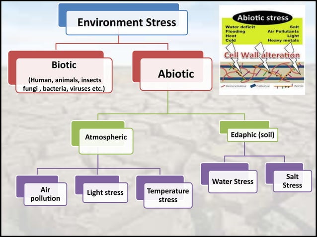 Breeding for abiotic stress resistance in vegetable crops | PPTX