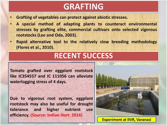 Breeding for abiotic stress resistance in vegetable crops | PPTX