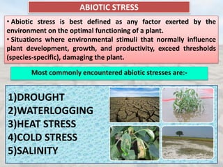 Breeding for abiotic stress resistance in vegetable crops | PPTX