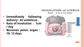 Subinvolution process - post partum period | PPTX