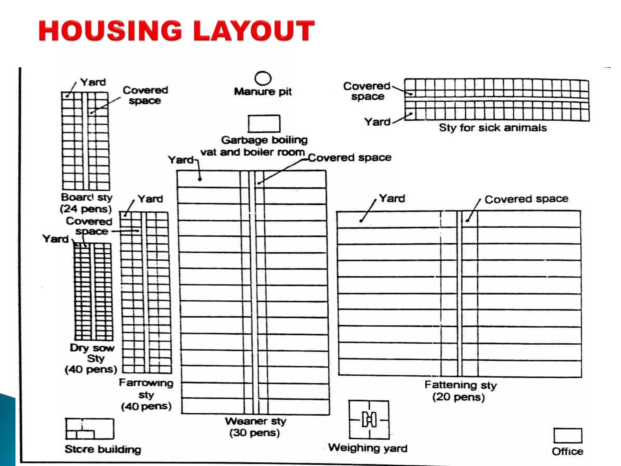 Swine Housing | PPTX