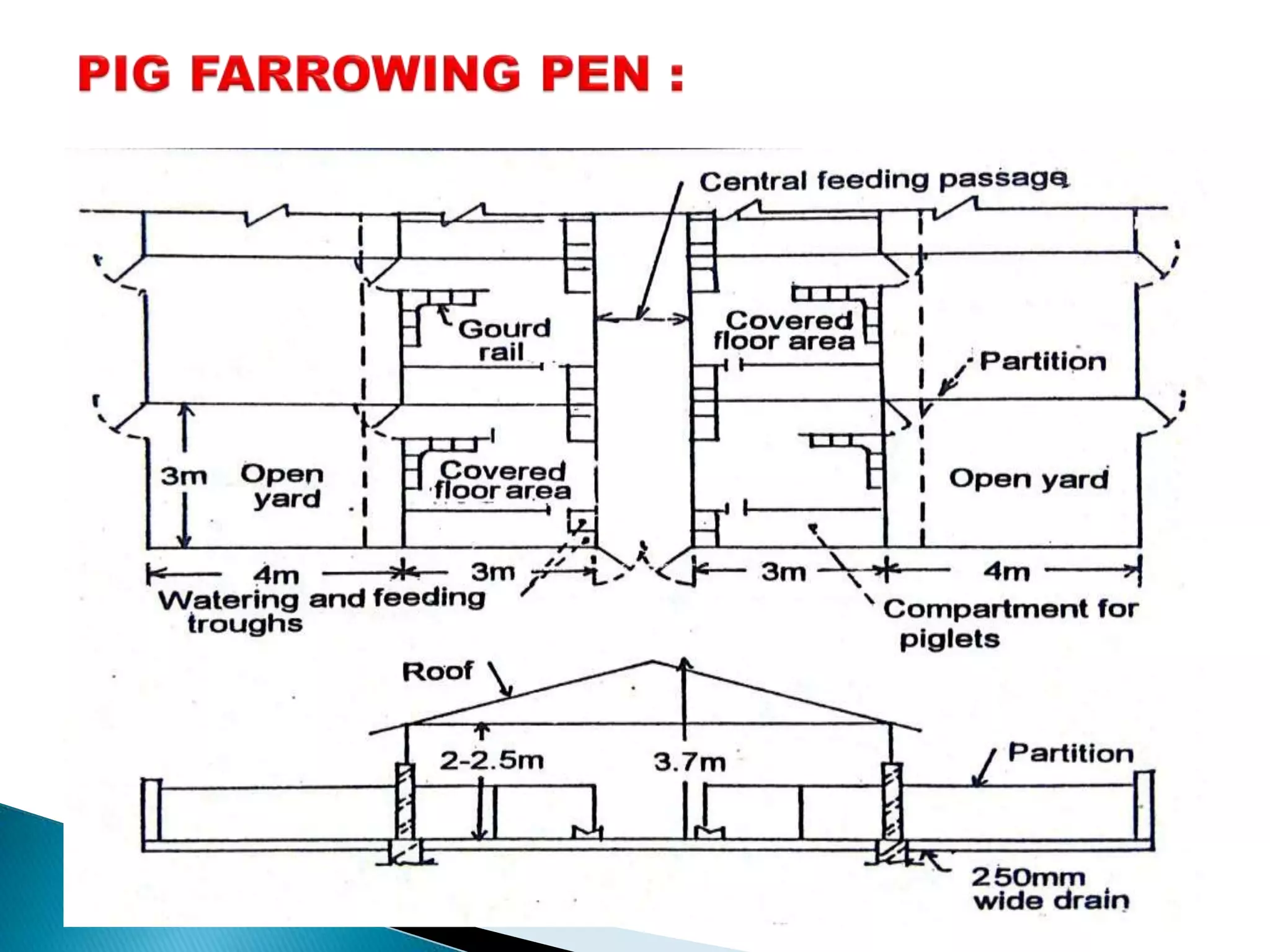 Swine Housing | PPTX