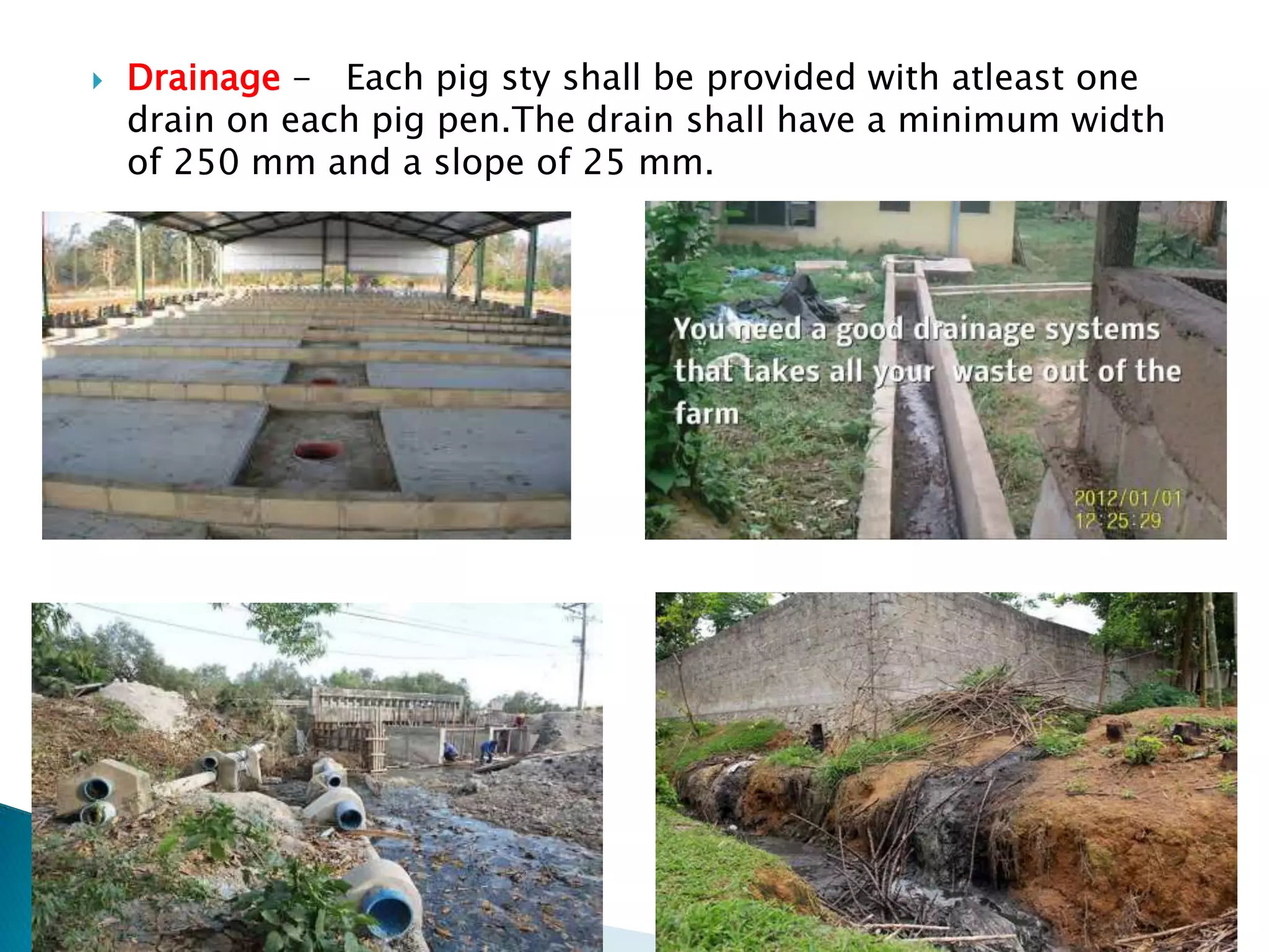 Swine Housing | PPTX