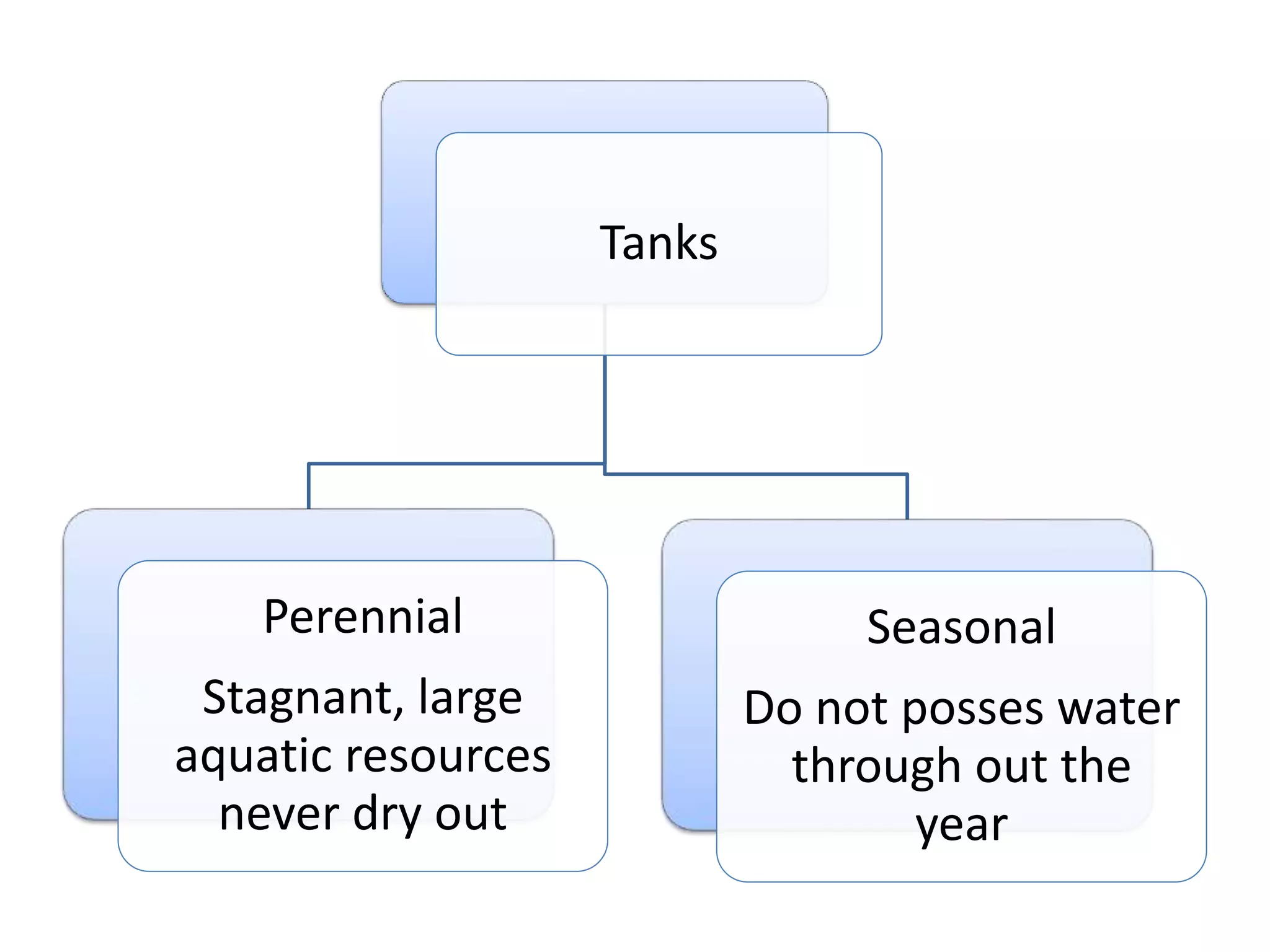 tank culture | PPTX