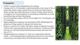 Final thakur.pptx farming of vanila fir agriculture student | PPTX
