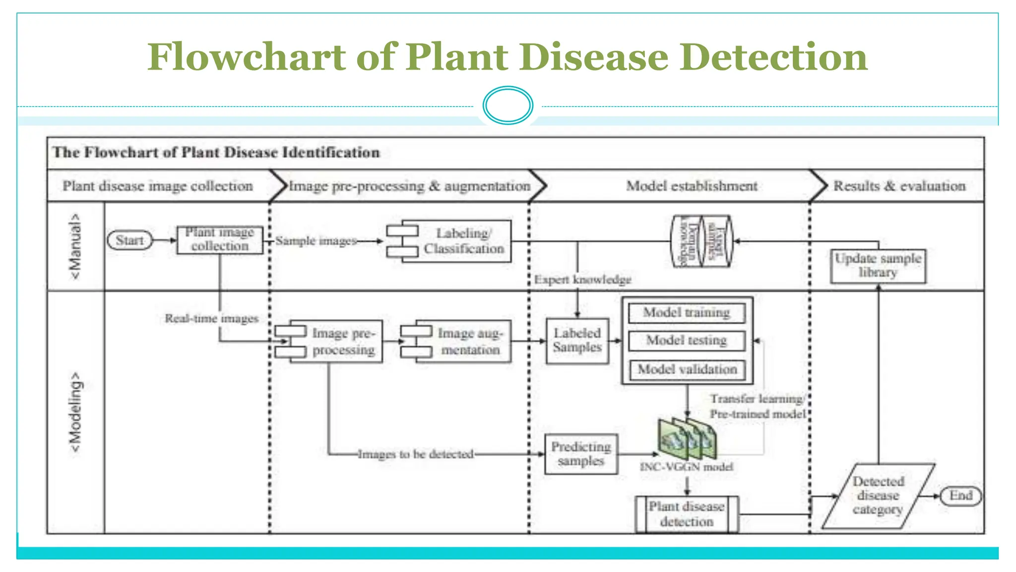 A Deep Learning Method for Plant Disease Diagnosis and Detection in ...