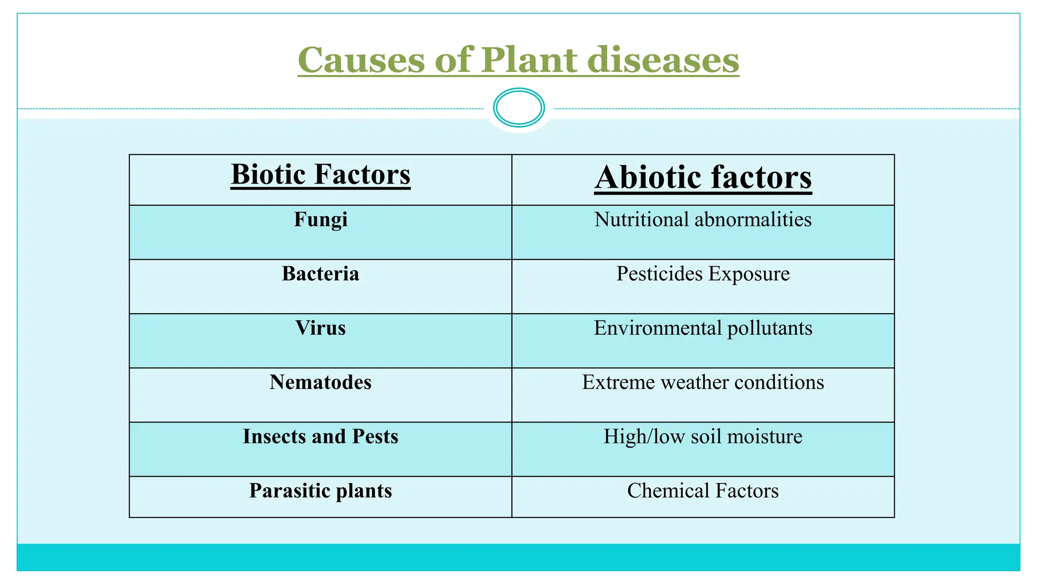 A Deep Learning Method for Plant Disease Diagnosis and Detection in ...