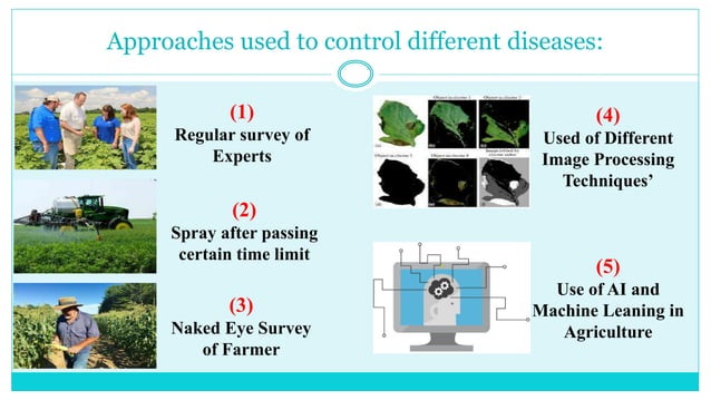A Deep Learning Method for Plant Disease Diagnosis and Detection in ...