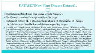 A Deep Learning Method for Plant Disease Diagnosis and Detection in ...