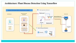 A Deep Learning Method for Plant Disease Diagnosis and Detection in ...