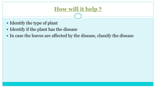 A Deep Learning Method for Plant Disease Diagnosis and Detection in ...