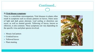 A Deep Learning Method for Plant Disease Diagnosis and Detection in Smart Agriculture | PPT
