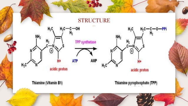 FINAL THIAMINE.pptx