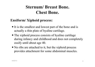 Final thoracic cage student | PDF