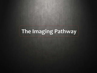 Transient Ischaemic Attack - Imaging Pathways | PPTX