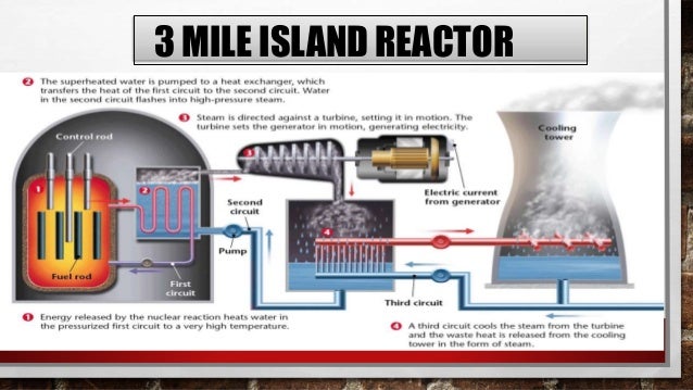 Three Mile Island Case Study