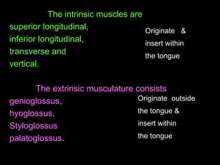 tongue and palate | PPT