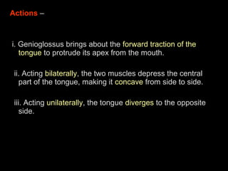 tongue and palate | PPT