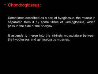 tongue and palate | PPT