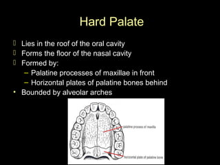 tongue and palate | PPT