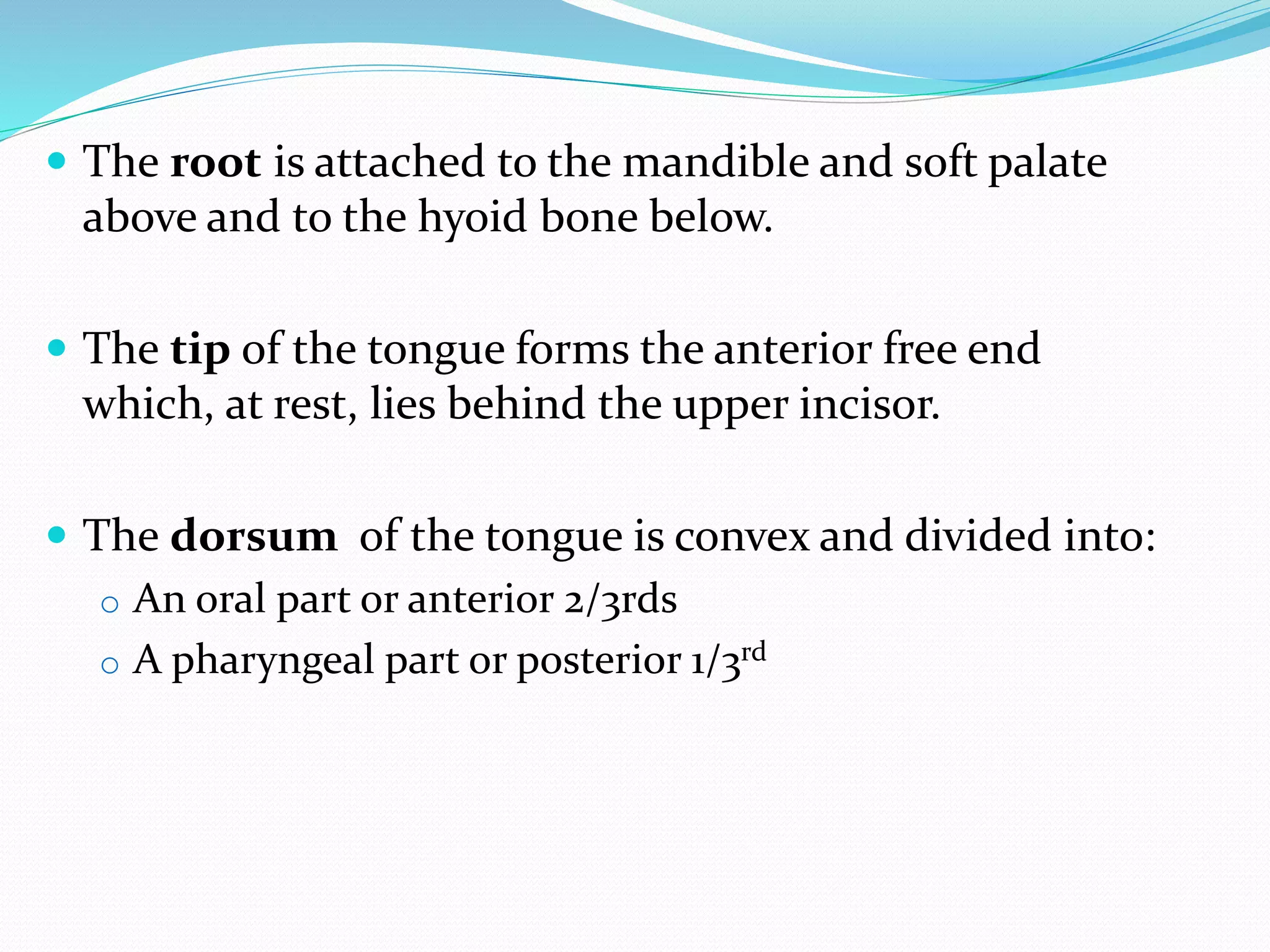 Tongue development, applied anatomy and prosthetic implications | PPTX