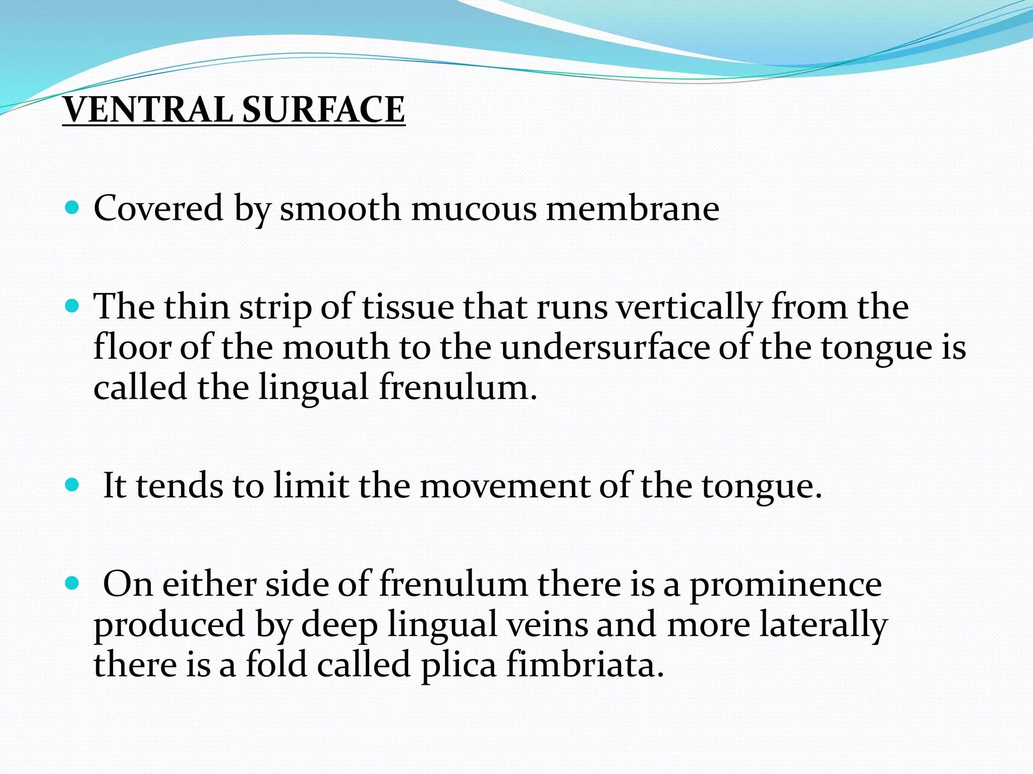Tongue development, applied anatomy and prosthetic implications | PPTX