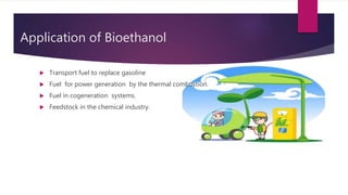 Bioethanol from banana and calotrpic | PPTX
