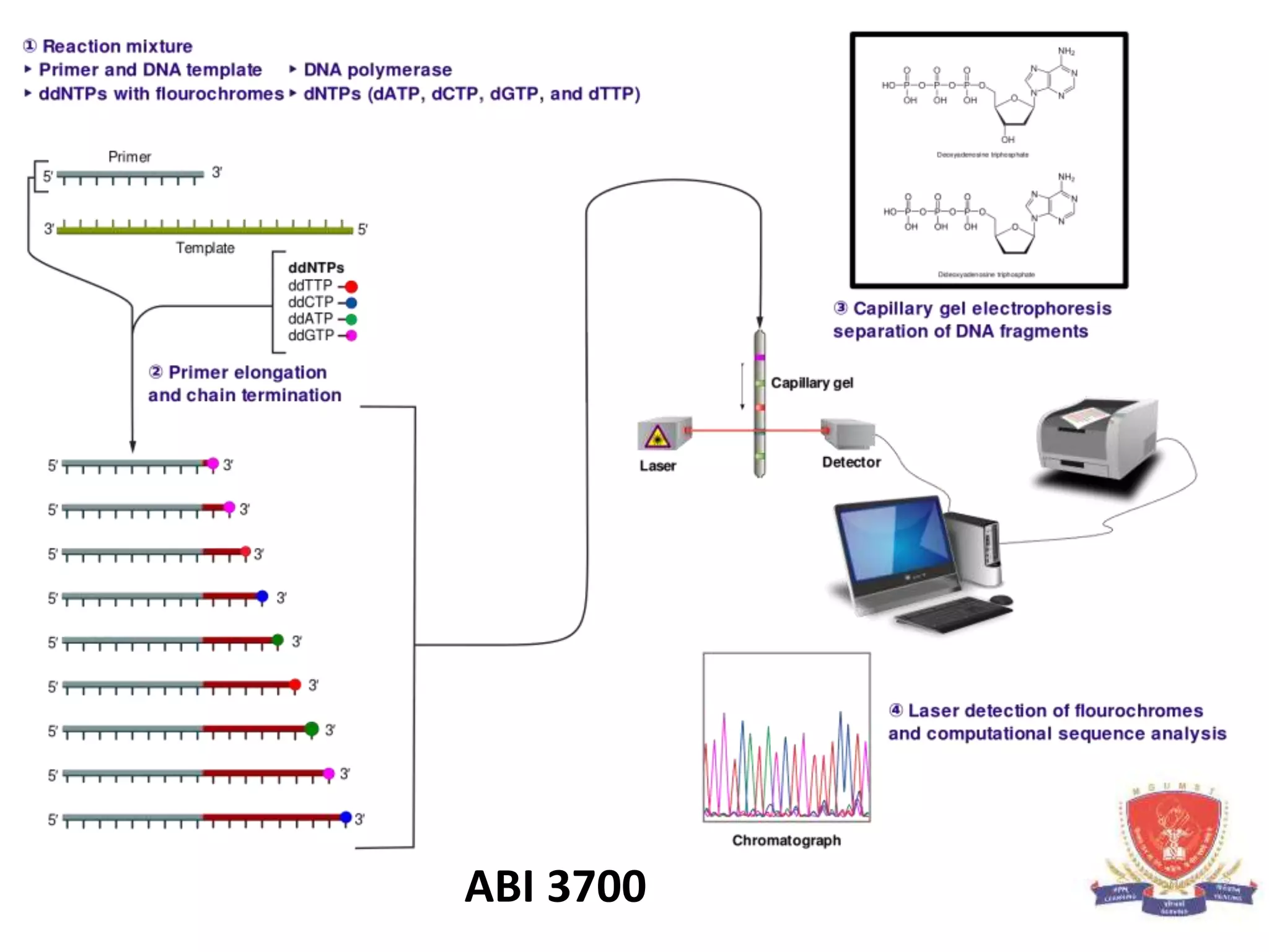transforming clinical microbiology by next generation sequencing | PPT