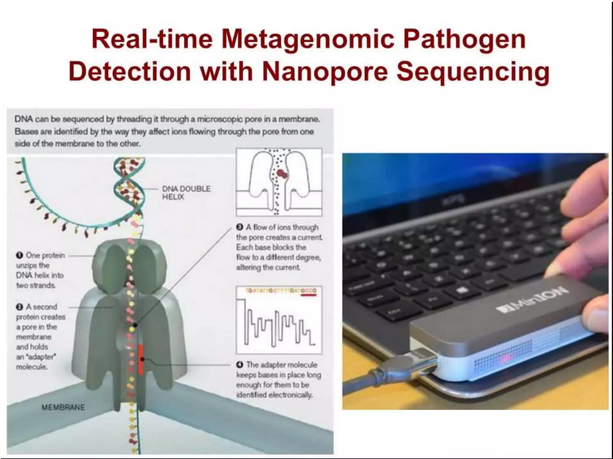 Transforming Clinical Microbiology By Next Generation Sequencing Ppt