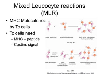 Final Transplantation.ppt transplantation | PPT