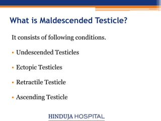 Hinduja Hospital Webinar on Understanding Undescended Testis | PPTX