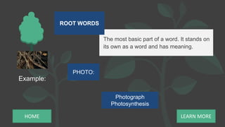 FINAL Unit 1 Presentation (1).ppsx