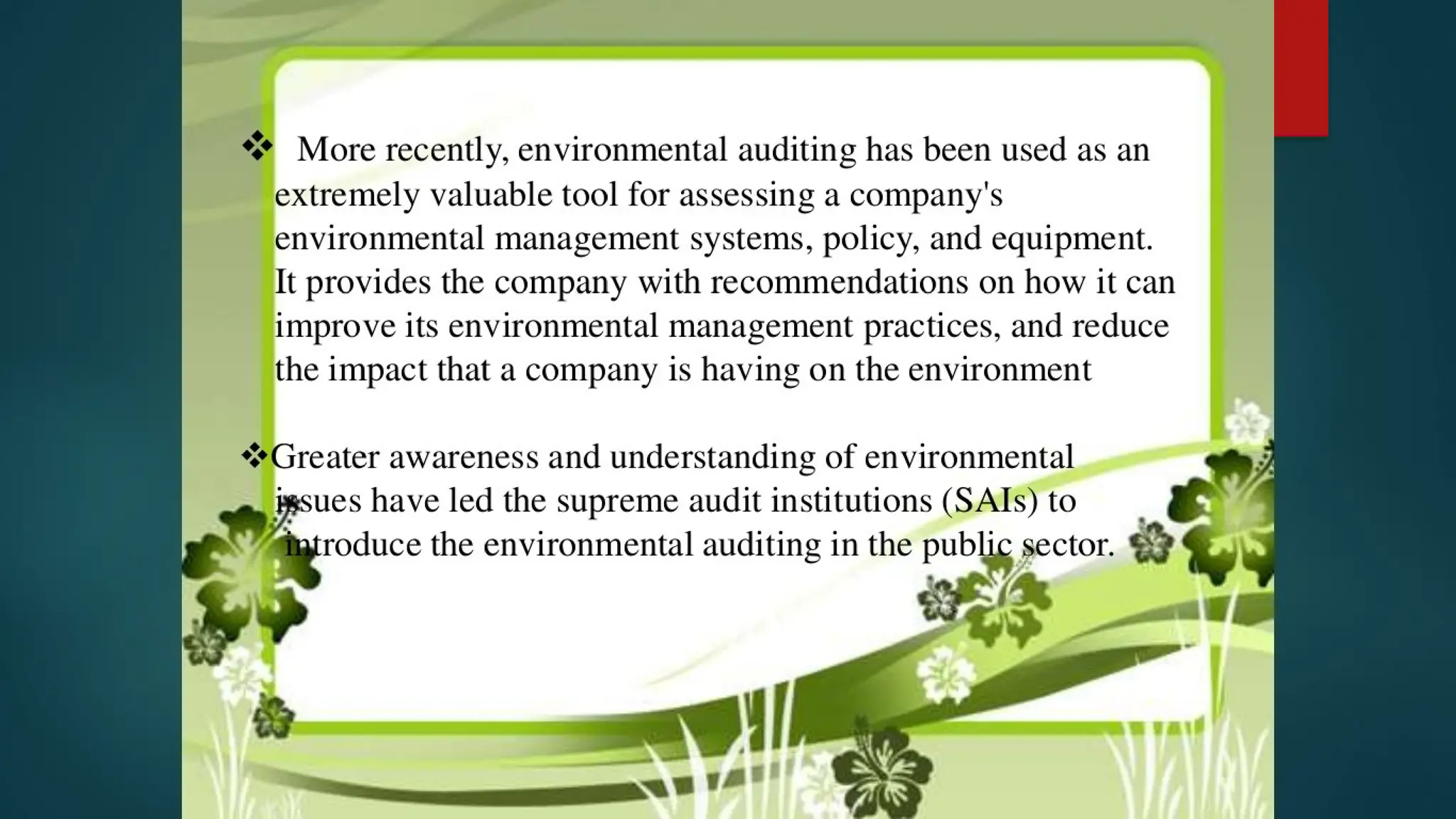 ENVIRONMENTAL AUDITING Presentation.pptx