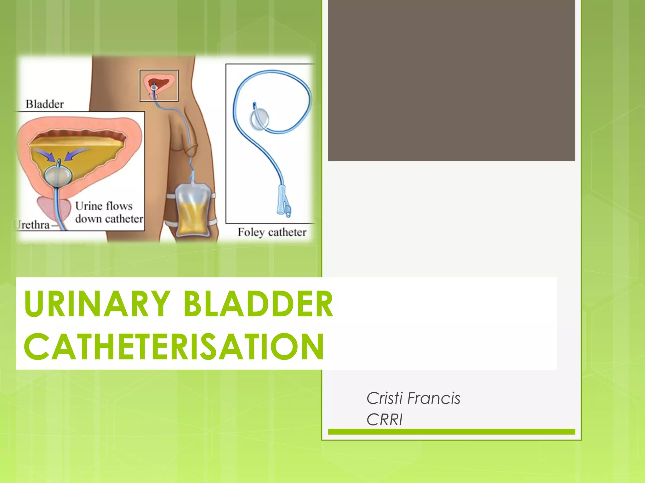 Final urinary bladder catheterisation | PPT | Surgery | Medical Health