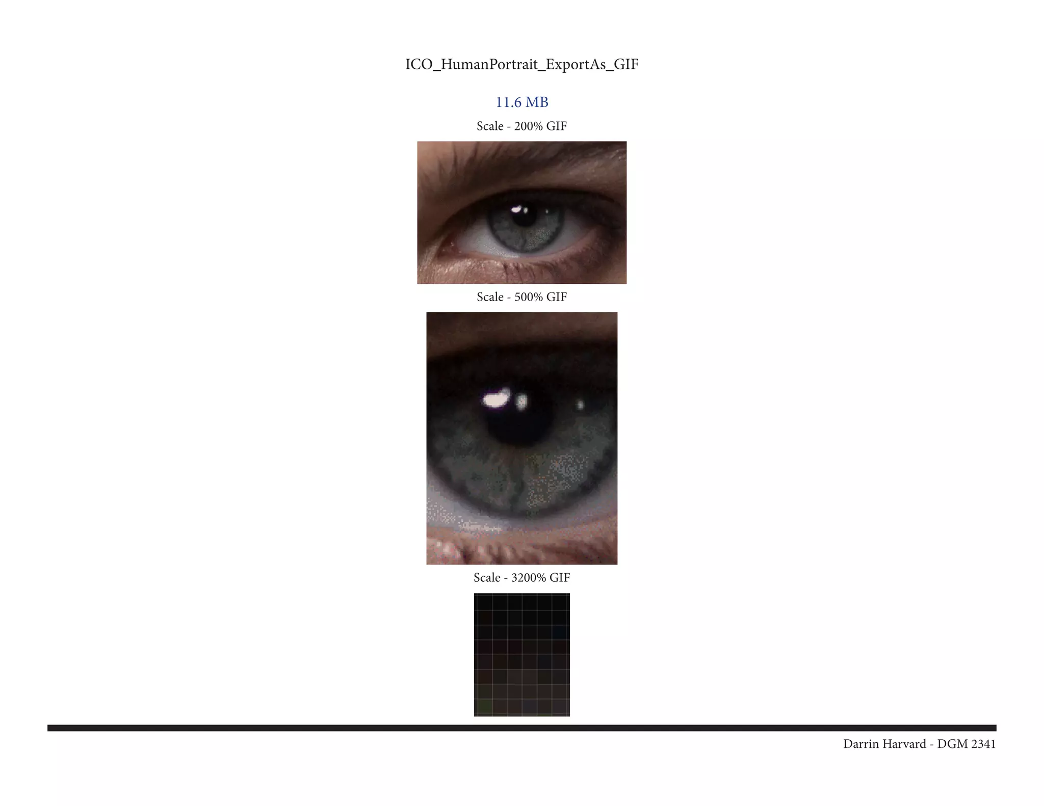 Final use case_scenario_dbh | PPT