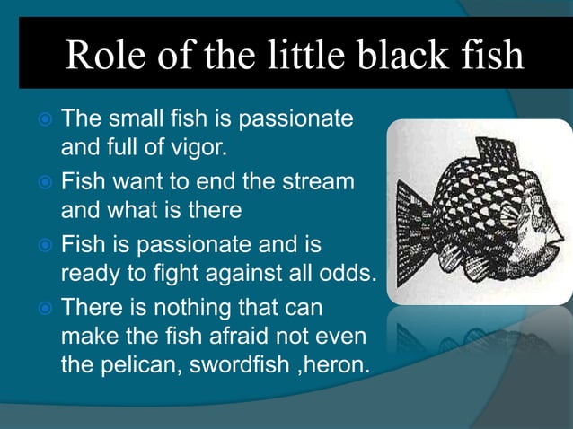 Little Black Fish | PPT | Free Download
