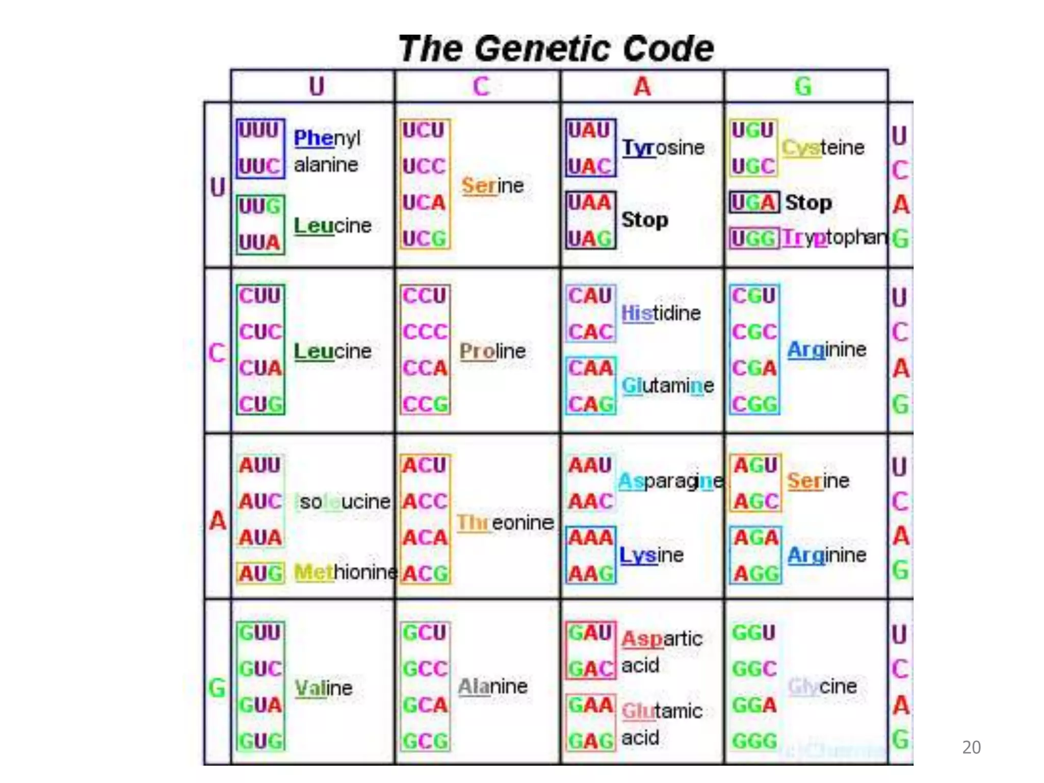 Final Version-Molecular Biology II -DNA damage.pptx