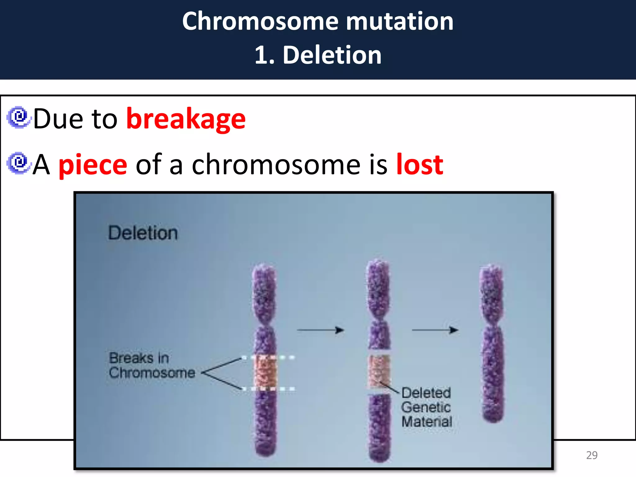 Final Version-Molecular Biology II -DNA damage.pptx