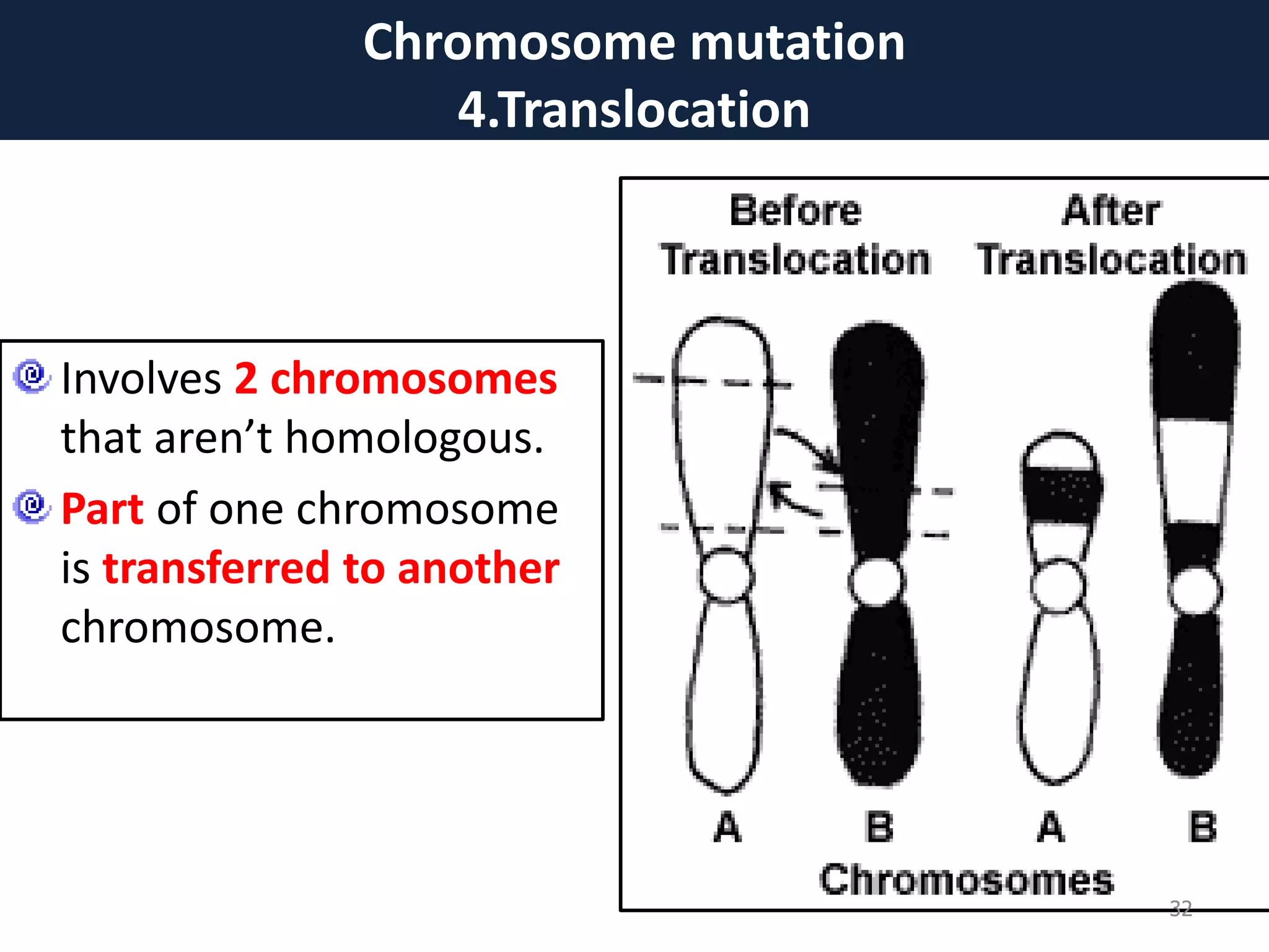 Final Version-Molecular Biology II -DNA damage.pptx