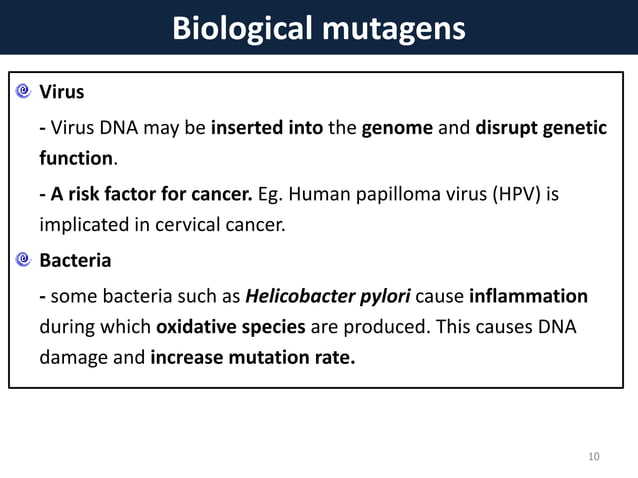 Final Version-Molecular Biology II -DNA damage.pptx