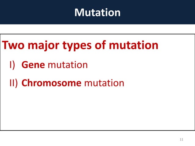 Final Version-Molecular Biology II -DNA damage.pptx